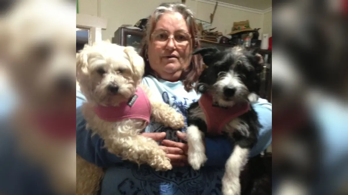 David (41) erwischt eigenen Bruder und Ehefrau bei Sex im Auto: Mutter ...