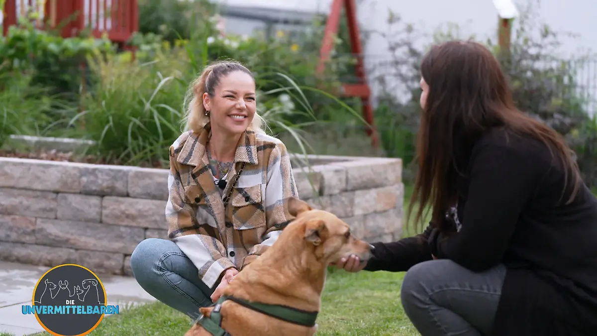 Erfolgsgeschichten: Diese Unvermittelbaren wurden zum Teil der Familie