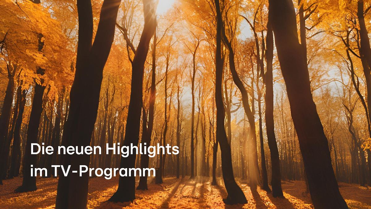 Die neuen Highlights im TV-Programm