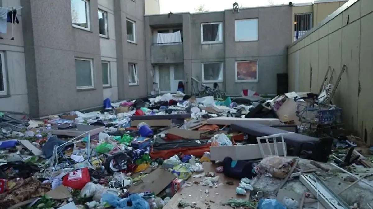 Dramatische Zustände: Mäuse, Kakerlaken und Müllberge. Der Alltag im ...