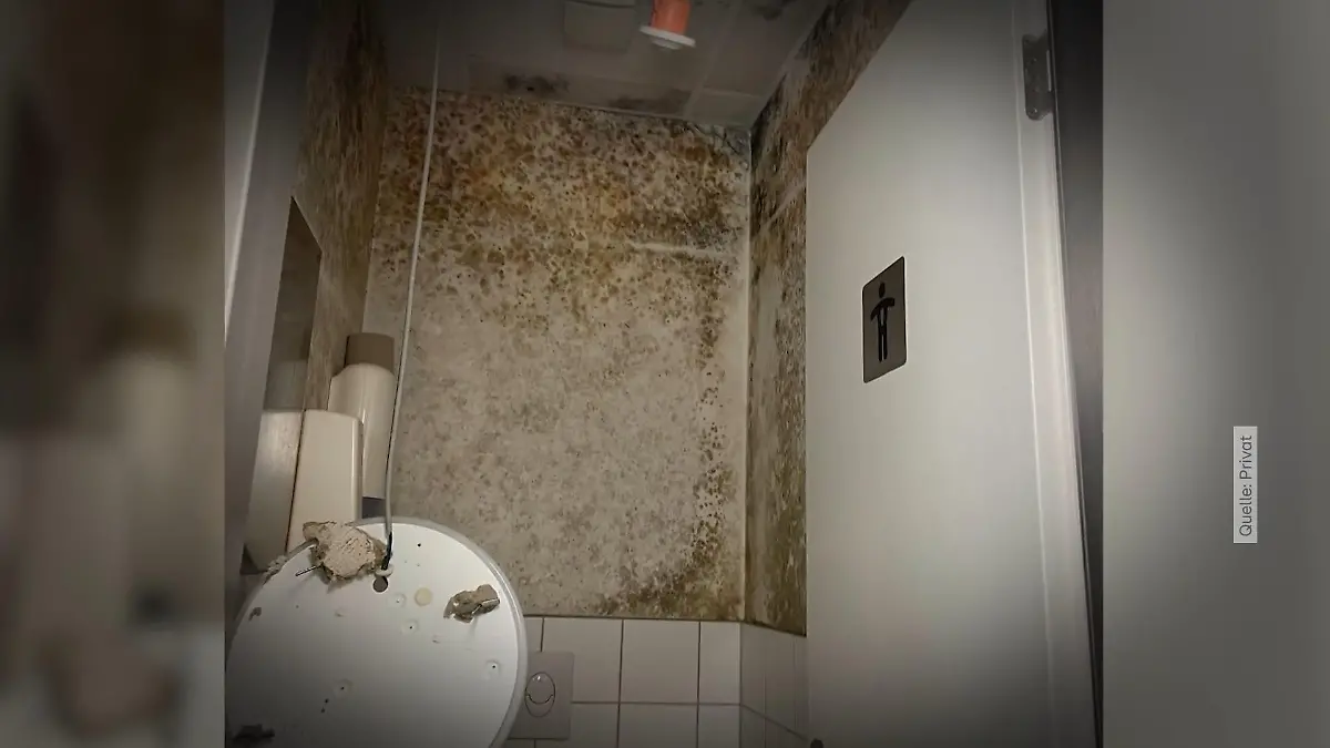 Marode Schulen in Frankfurt sind ein Armutszeugnis