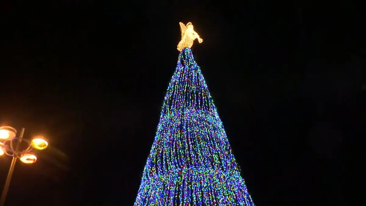 Dortmund: Größte Tanne der Welt erleuchtet