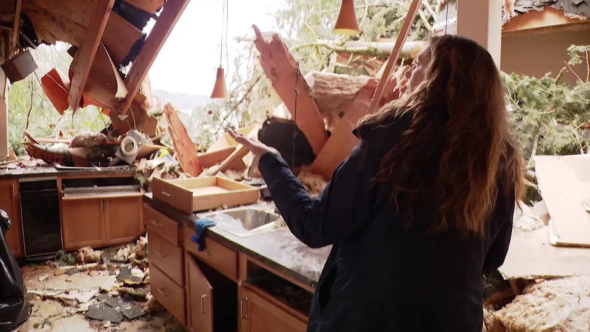 80-Meter-Baum spaltet Haus der Familie McKelvie in Washington (USA ...