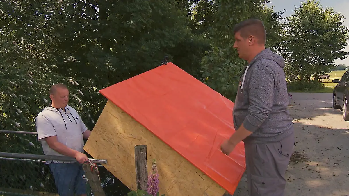 Schwer zu schleppen: Heino und Markus bereiten neue Tierunterkunft vor