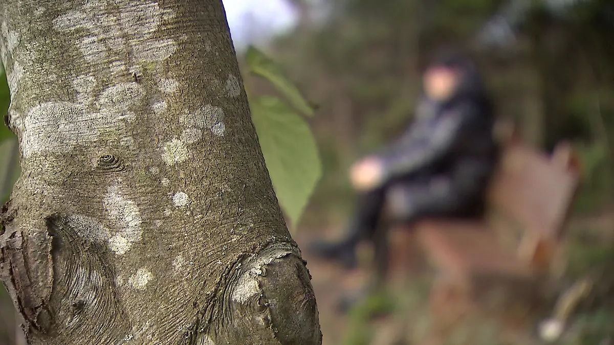 Pforzheim: Drei Mädchen tot unter Aussichtsturm gefunden – RTL hat mit Bekannter einer der ...