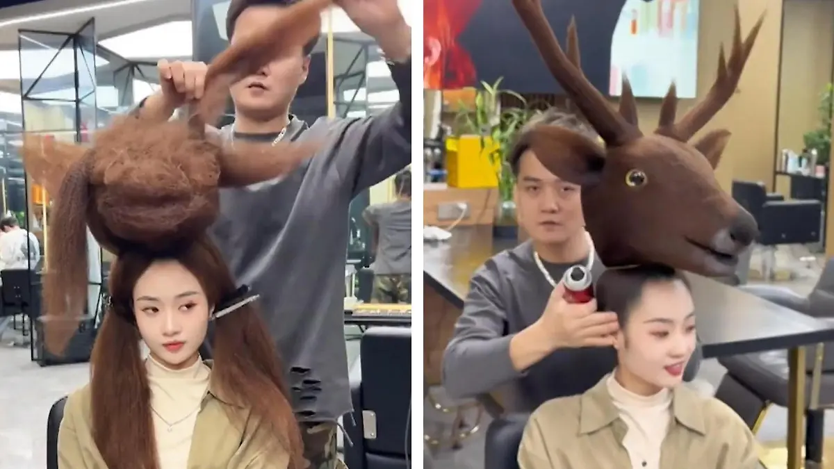 Rudolph, wo ist deine rote Nase?: Diese Rentier-Frise begeistert nicht ...