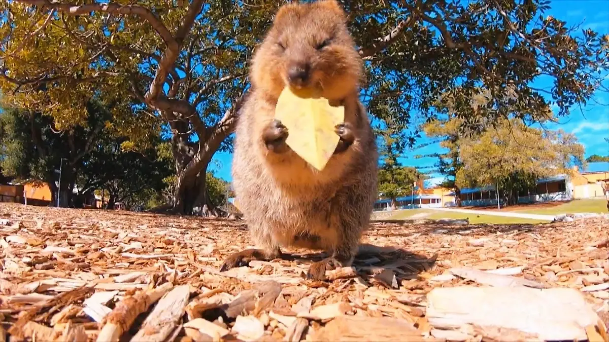 Nach Tupperware-Insolvenz: Wo bekommt man Ersatzteile und was passiert im Garantiefall?