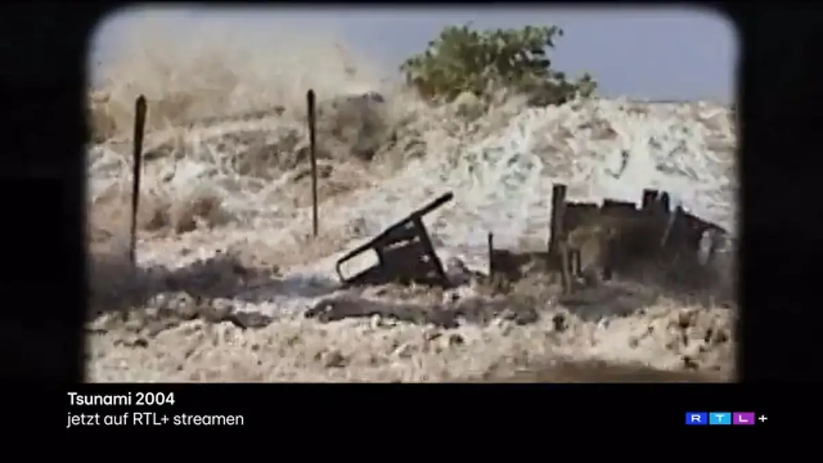 Die gigantische Welle: Tsunami 2004: Ein Überlebender berichtet