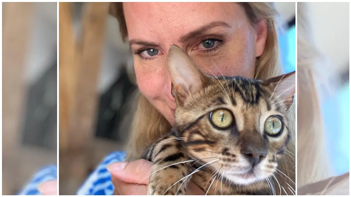 Große Trauer bei Judith Rakers: Kater Juri von Nachbarshund totgebissen