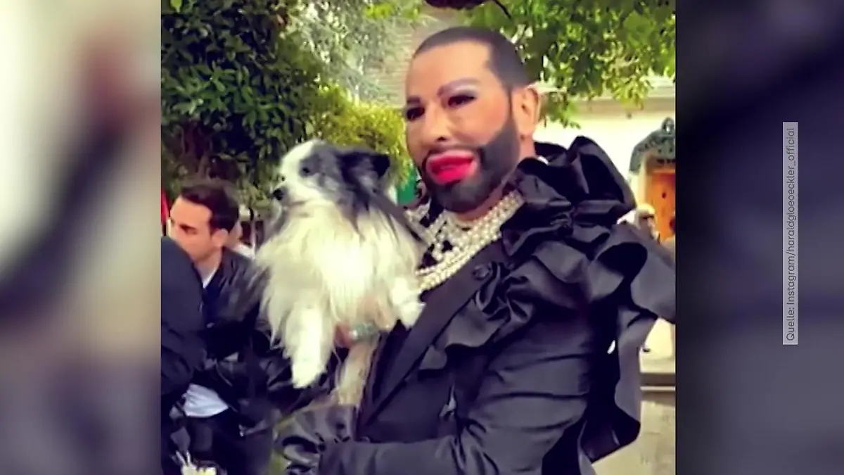 Sein „Engel auf vier Füßen“ ist tot: Harald Glööckler weint um seinen Hund