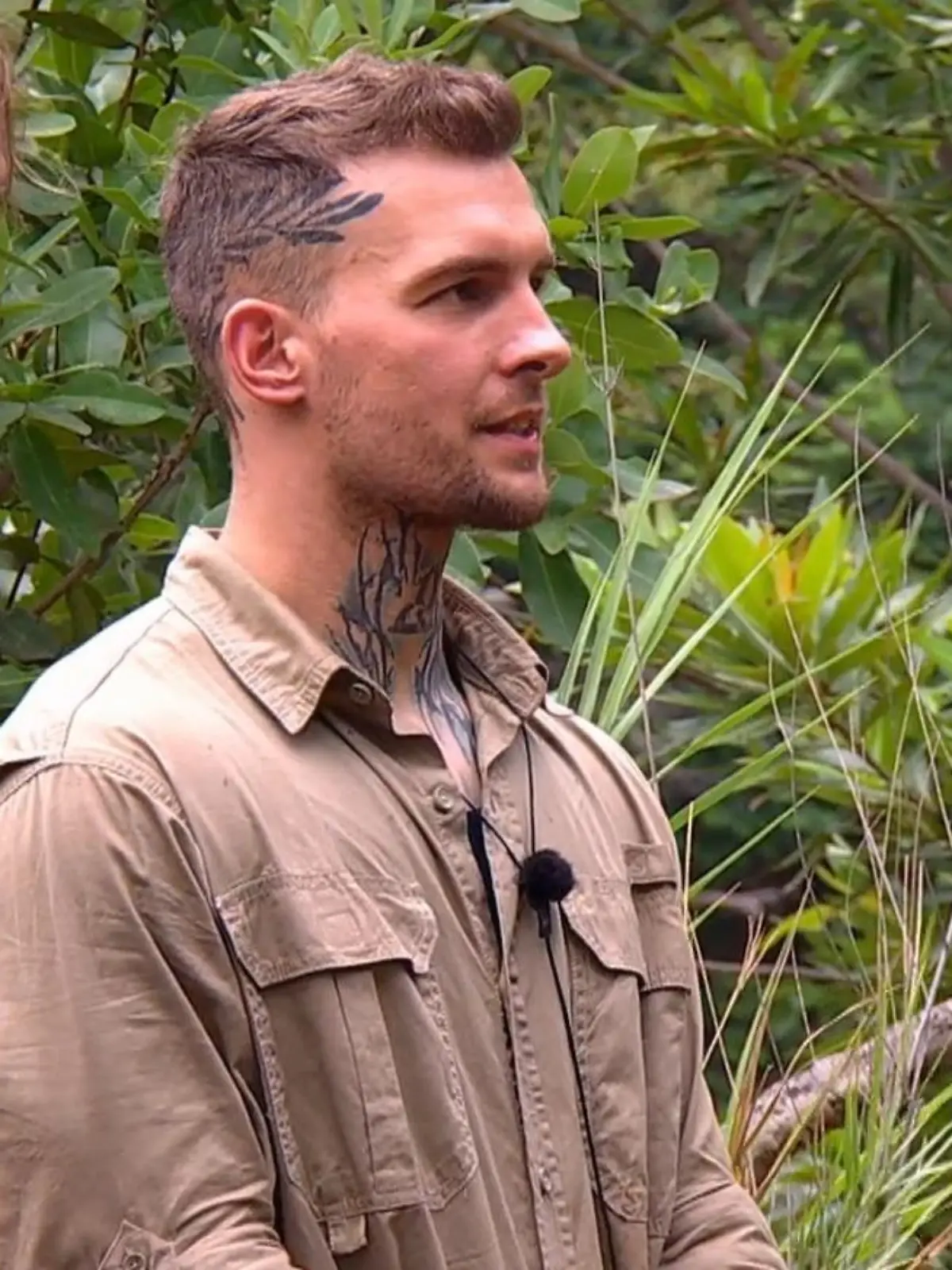 Peter Althof: Alle News & Infos