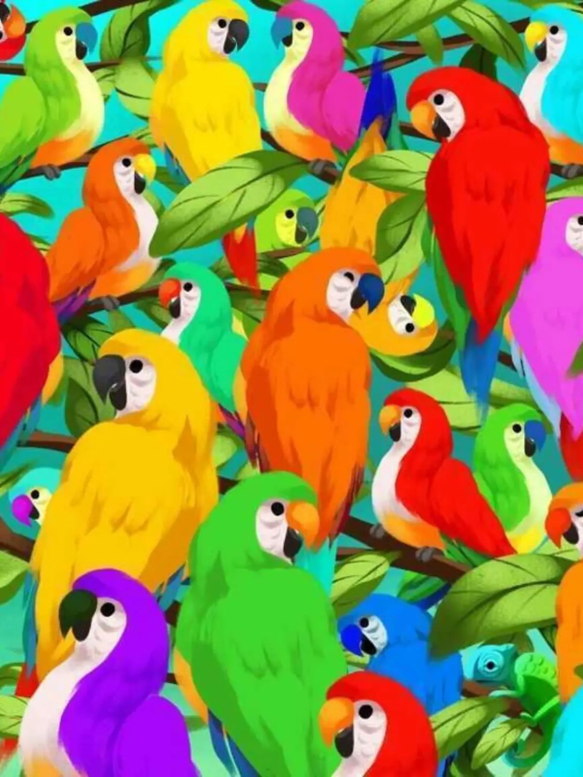 Suchbilder: Alle News & Infos