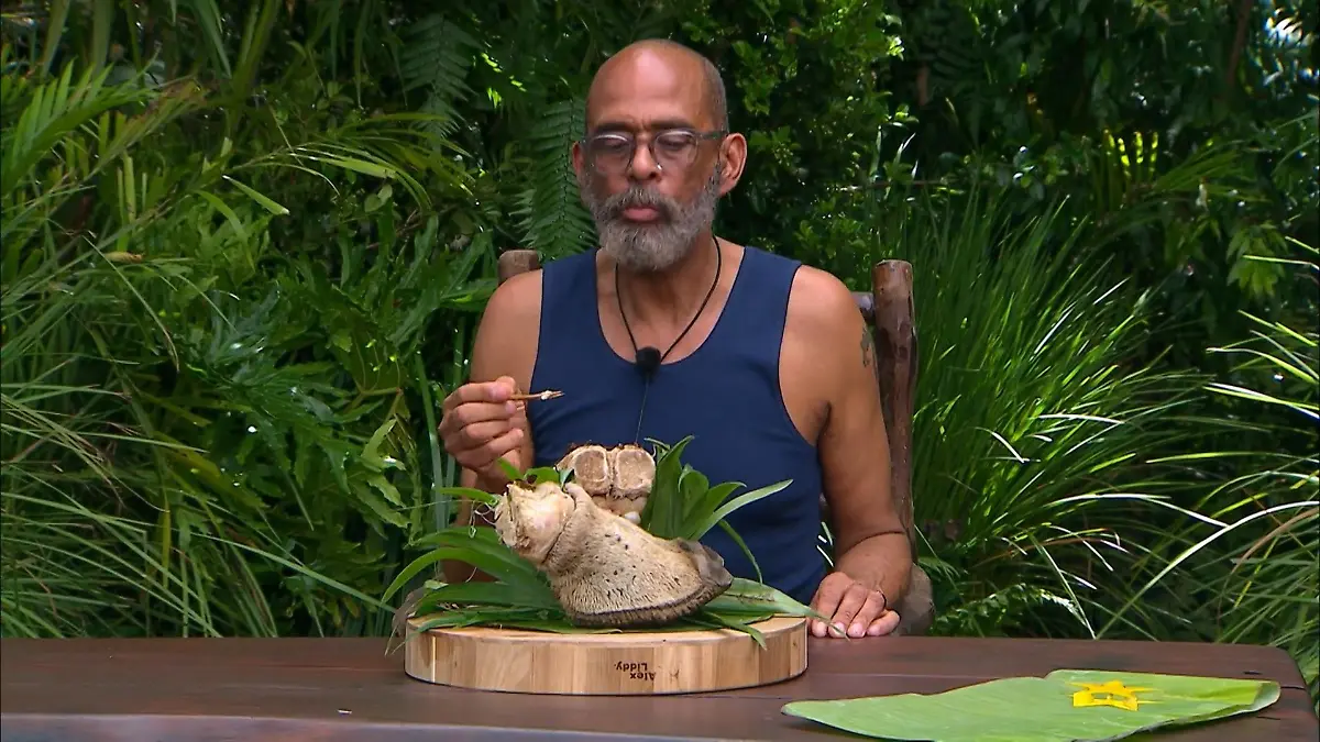 Dschungelcamp 2024: Gewinner im Finale, Wer ist raus?, Ganze Folgen streamen & Co. - Alle Infos!