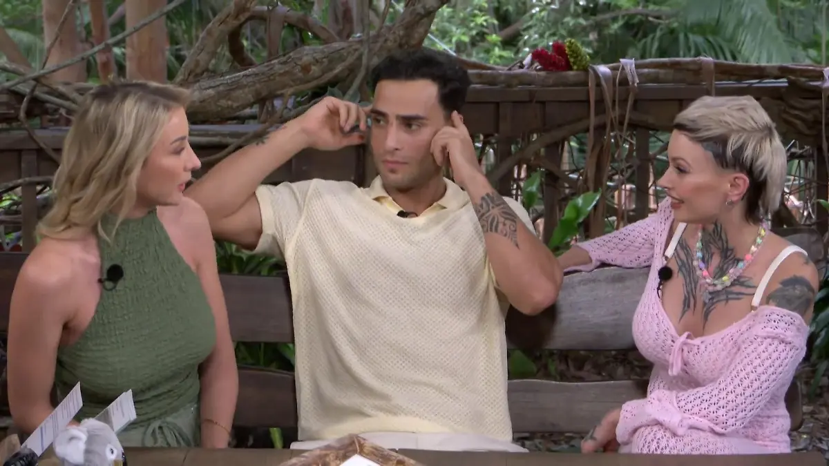 Dschungelcamp 2024: Gewinner im Finale, Wer ist raus?, Ganze Folgen streamen & Co. - Alle Infos!