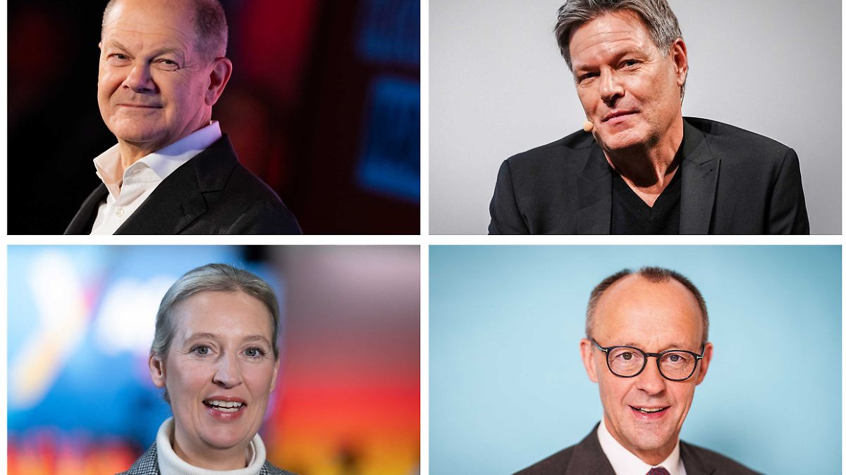 RTL-Quadrell im Faktencheck: Diese Aussagen von Merz, Scholz, Habeck ...