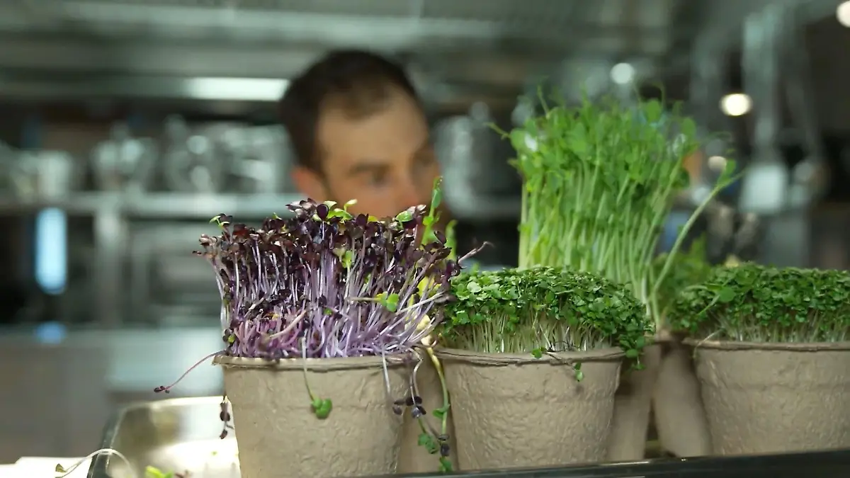 Rezept für Hüttenkäse-Pizza: Dieser leckere Low-Carb-Sattmacher lässt ...