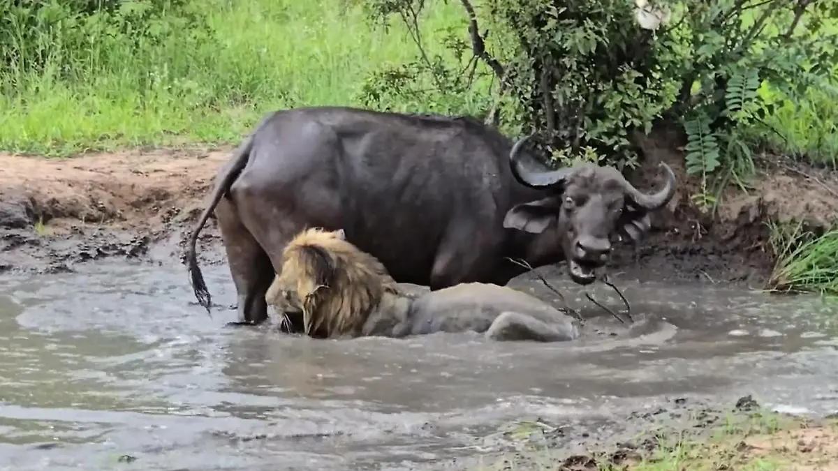 Messerattacke in Aschaffenburg – trotz dieser Straftaten war Enamullah O. noch in Deutschland