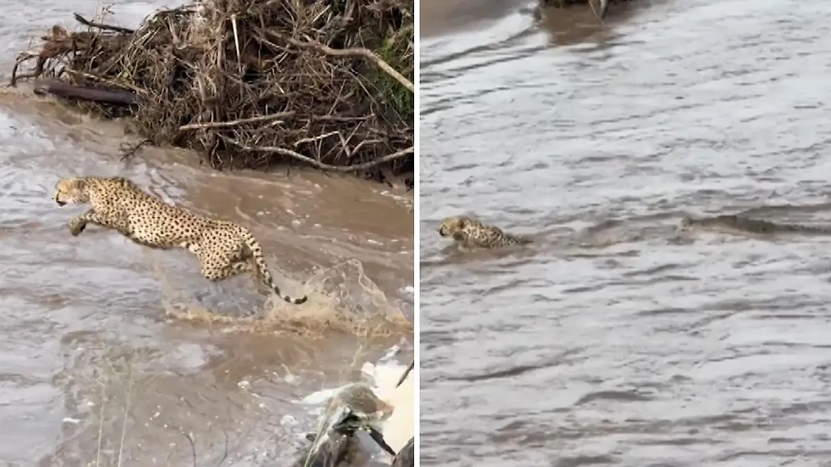 GNTM, Folge 15: Heidi Klum jagt ihre Models beim Nackt-Shooting durch den Monsun