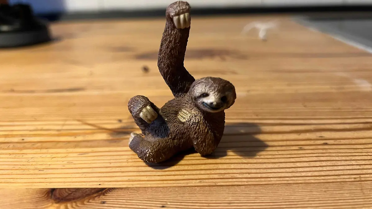 MMA-Oktagon 67: MMA-Fighter Niko Samsonidse verrät, weshalb sein ...