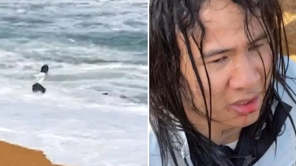 Toter Wal auf Sylt von Schlachter zerlegt - beißender Gestank am Strand ...