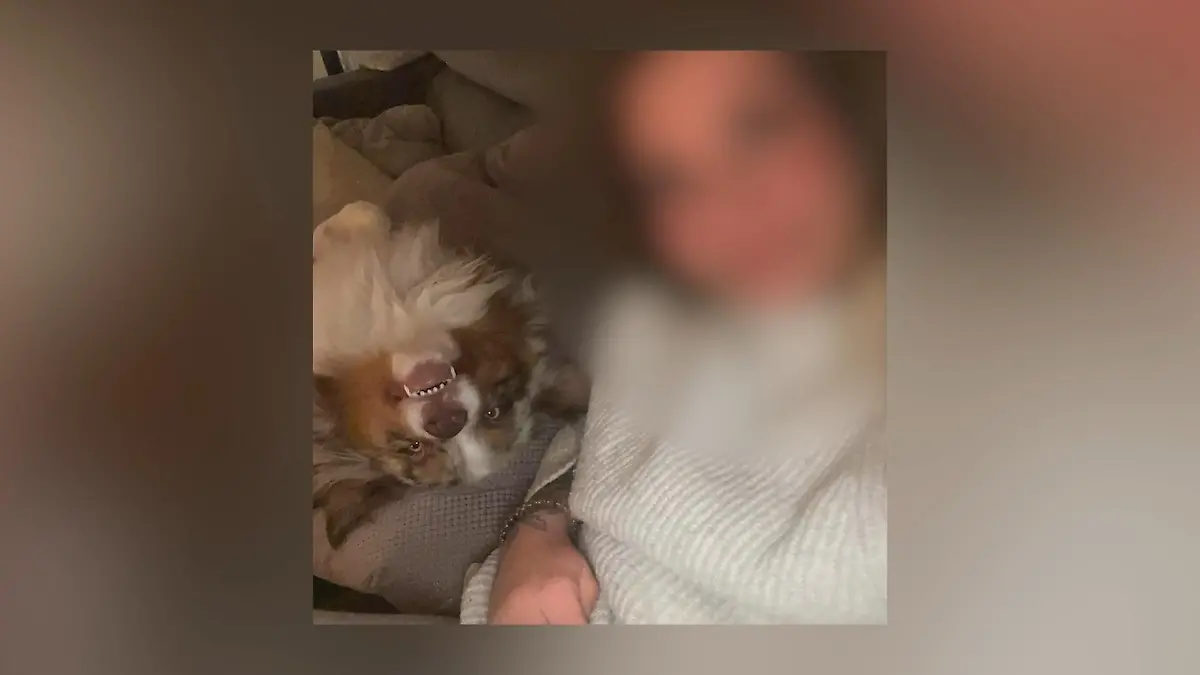 Porno-Dreh in Kölner Seilbahn! Sally Dinosaur droht nach Gondel-Quickie ...