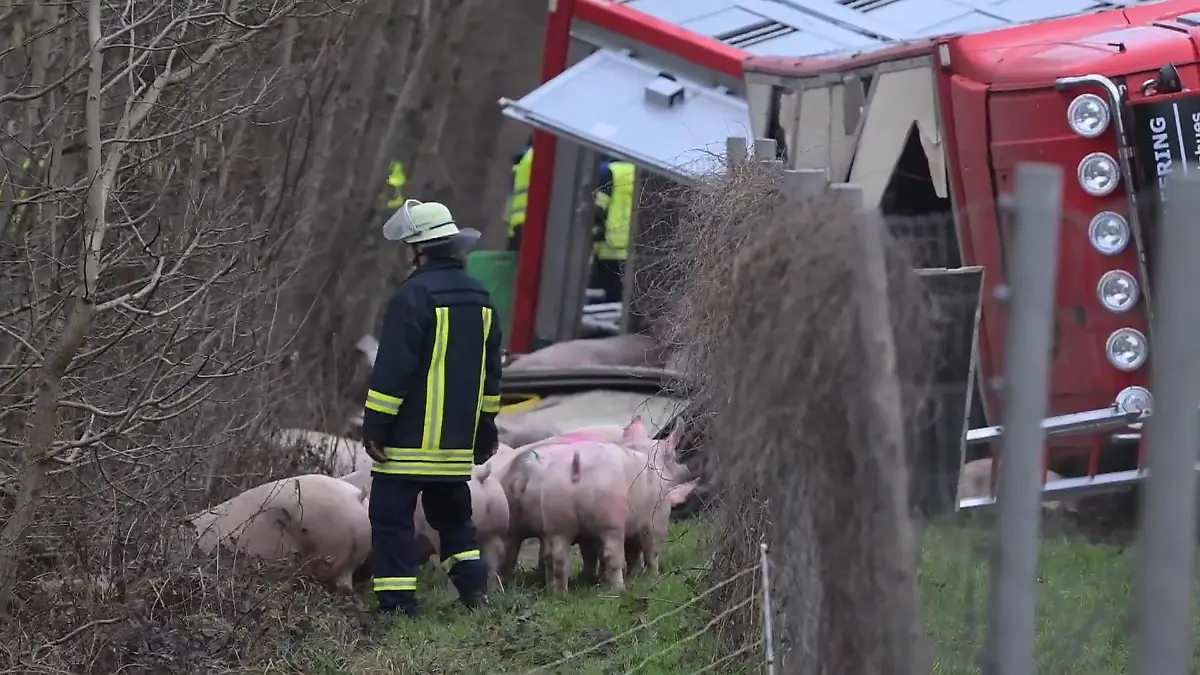 Neue Kebab-Kreation: In Hamburg gibt’s jetzt Ufo-Döner