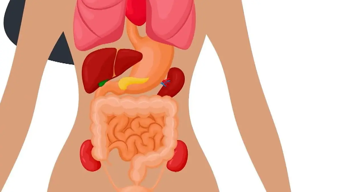 Leih-Großeltern: Darauf solltet ihr bei Leih-Oma und Leih-Opa achten