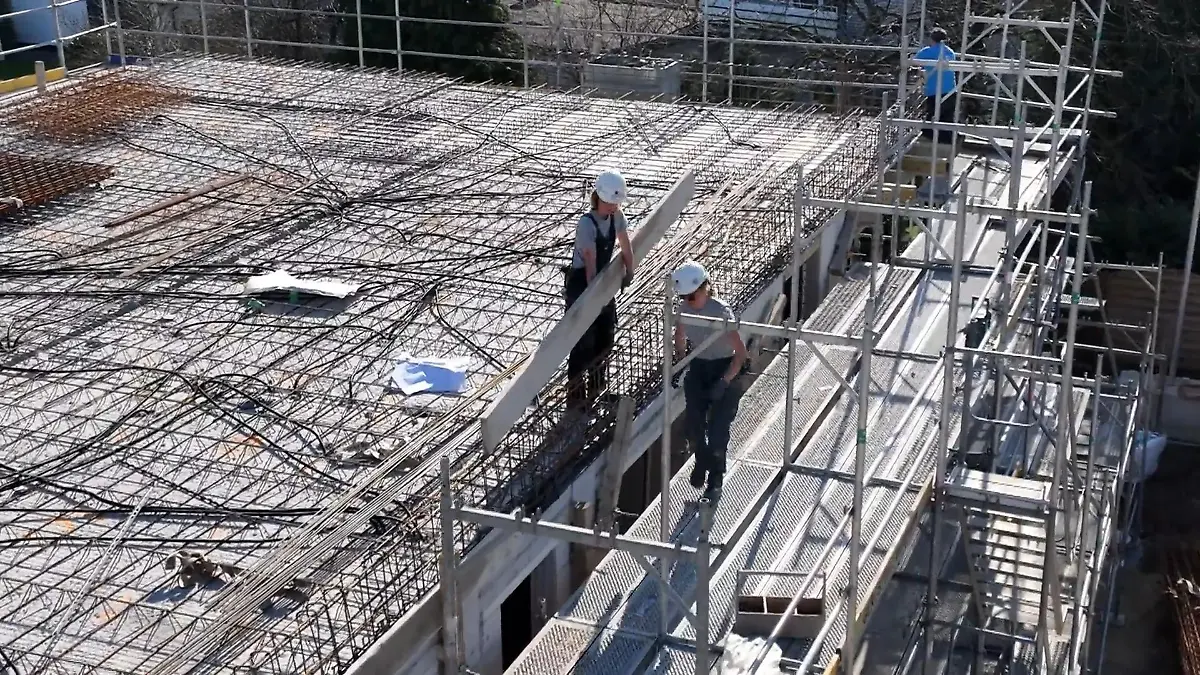 Dilatative Kardiomyopathie: Sieben Monate alter Leo hat schwere ...