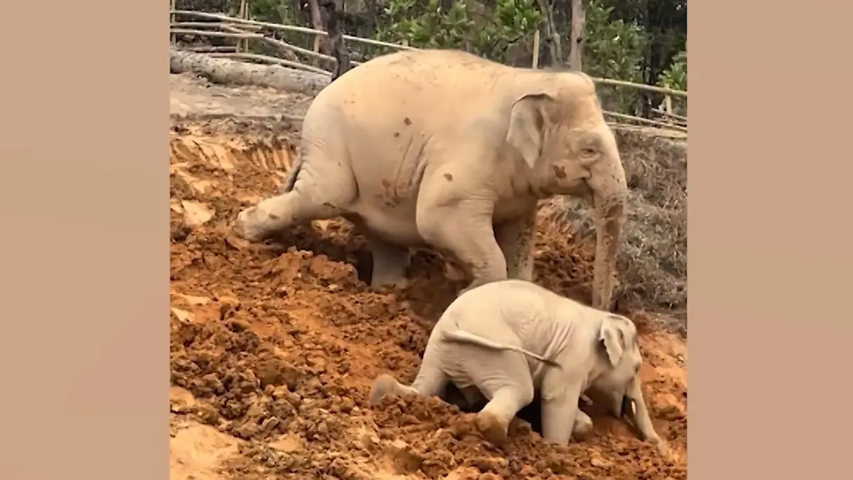 Endlich wieder alles in Butter! Lidl, Aldi, Kaufland und Co. senken Preise