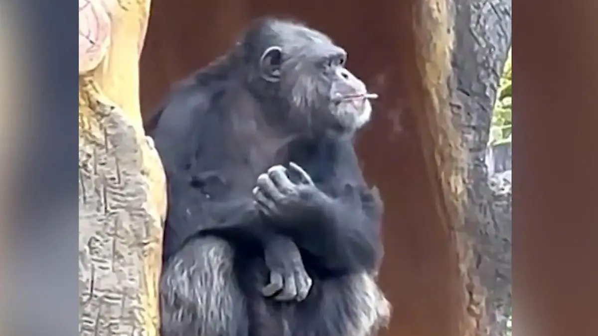 Endlich wieder alles in Butter! Lidl, Aldi, Kaufland und Co. senken Preise