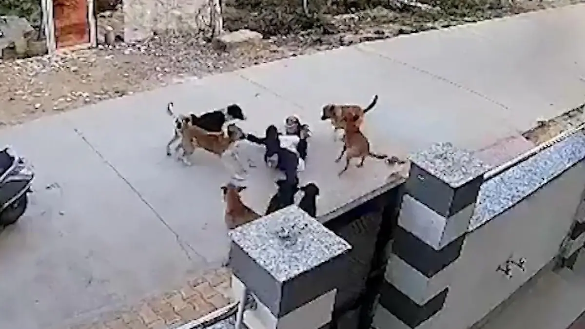 Berlin: Razzia bei Teenager (17) nach Kugelbomben-Explosion an Silvester