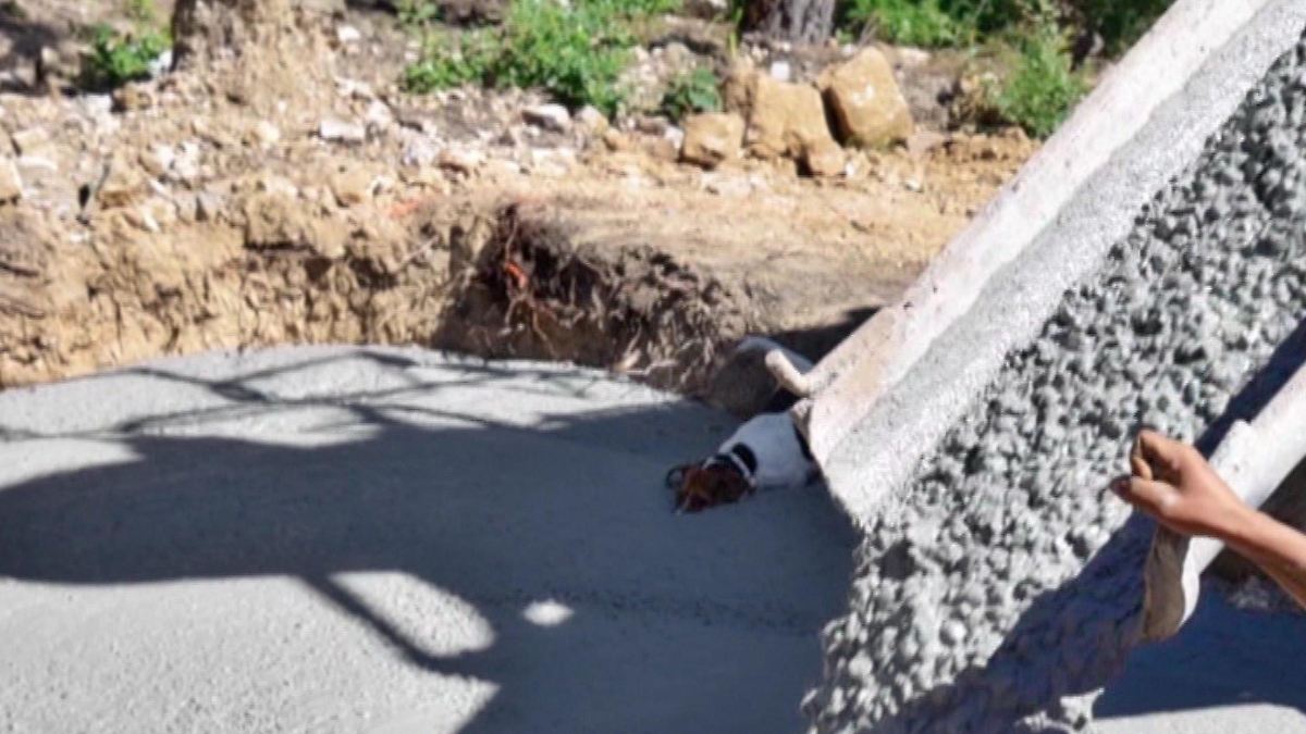 Schock auf der Baustelle der Geissens: Hund fällt in Baugrube mit ...