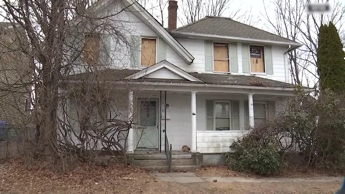 Alice Weidel im Faktencheck: War Adolf Hitler wirklich ein „Linker”?