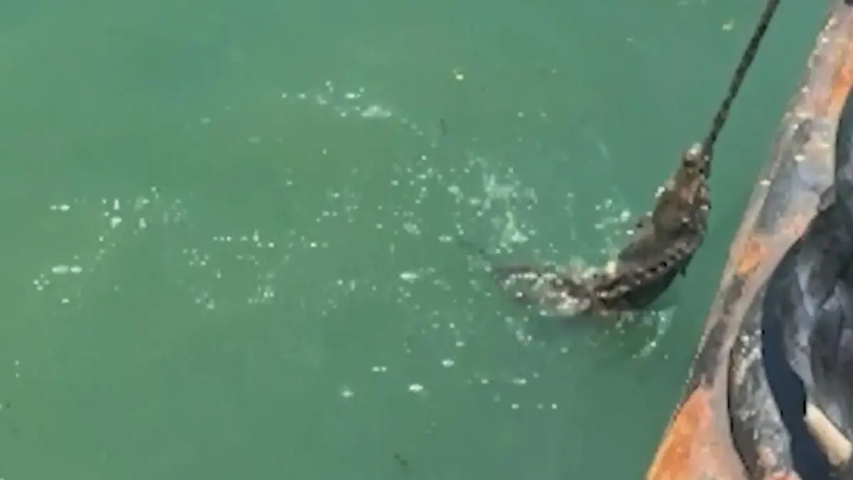 Unheilig sind zurück! Der Graf kündigt überraschendes Comeback an