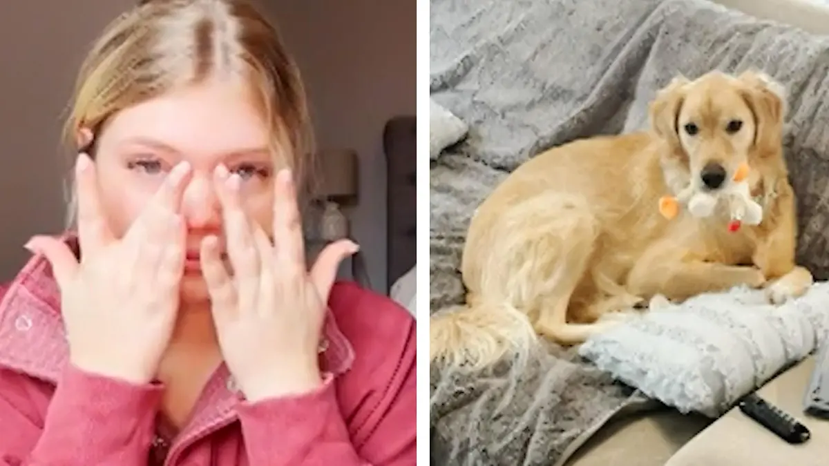 Nach Payback-Aus! Rewe, Edeka, Netto und Co. – welche Bonus-Programme ...