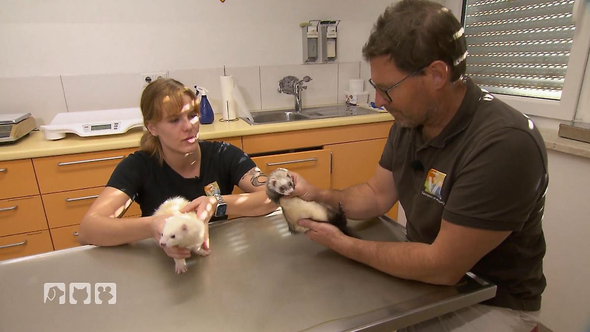 Tiere aller Art: Der spannende Alltag von Exotentierarzt Dr. Karbe