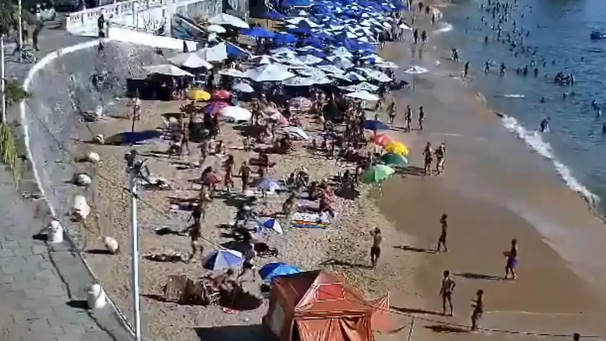 Toter Wal auf Sylt von Schlachter zerlegt - beißender Gestank am Strand ...