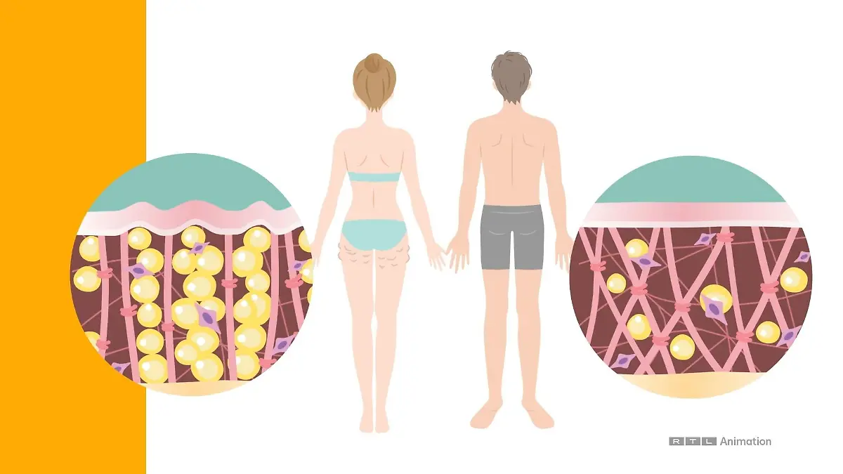 Protein-Power vom Blech: Hüttenkäse-Sandwich ist der Hit im Netz - so geht's