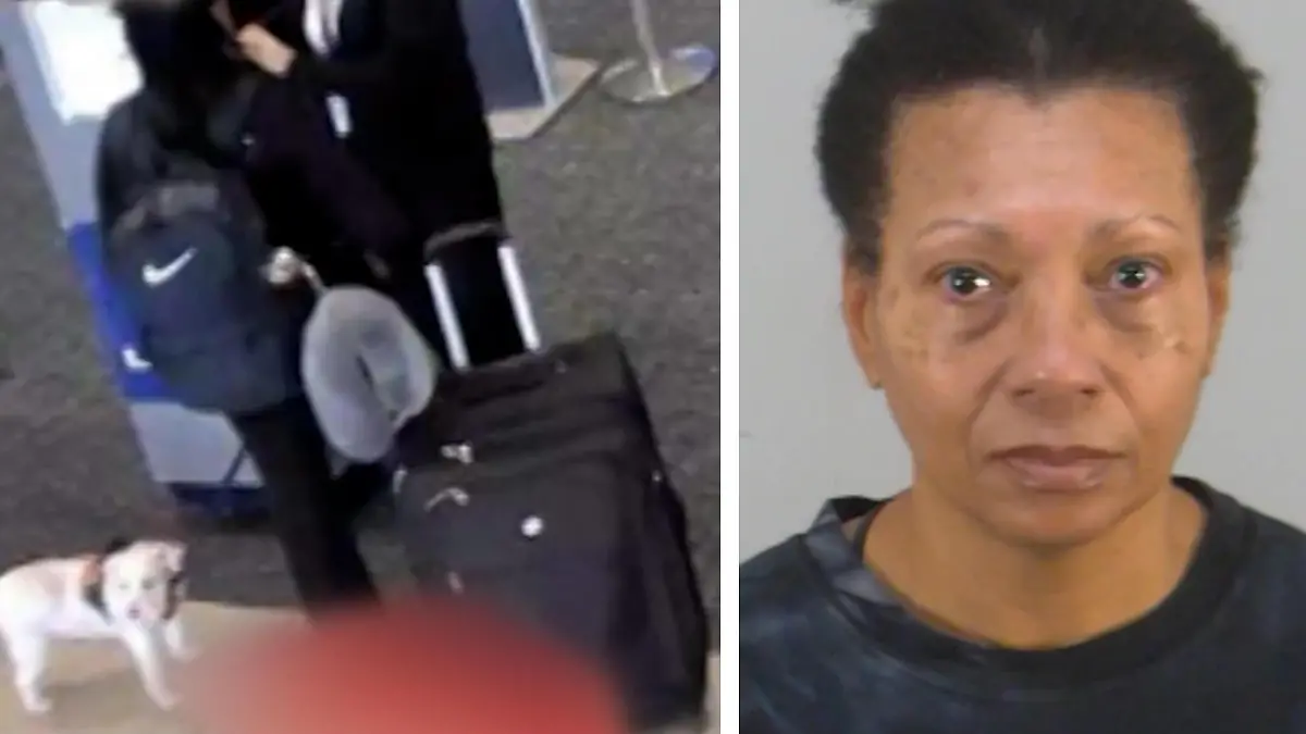 Video zeigt die Todesfahrt von Mannheim! Hier rast Alexander S. im Ford ...