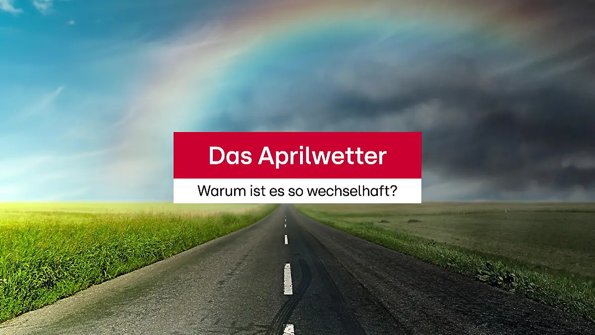 Kreuzfahrtschiff gerät wegen Sturm in Schieflage! Videos zeigen ...