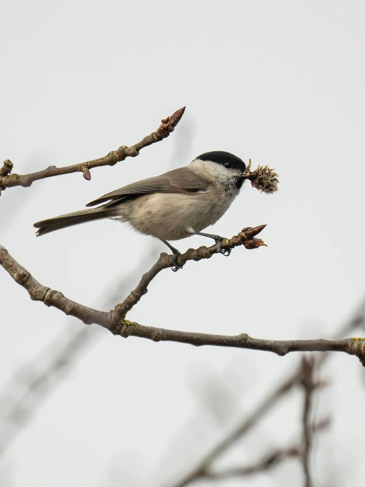 Aktuelle Wetter-Nachrichten