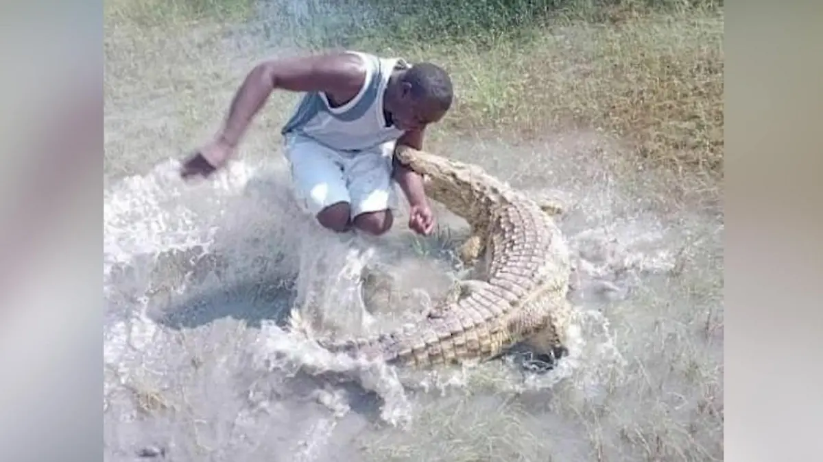 USA: Eugenea Collins will die vermisste Maddie McCann sein! Was sagt ...