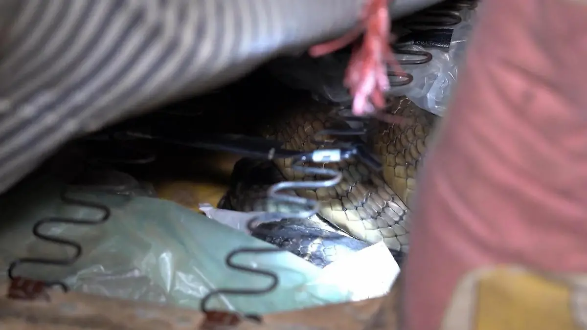 Messerangriff in Villach: Alex (14) stirbt bei IS-Anschlag – Ex ...