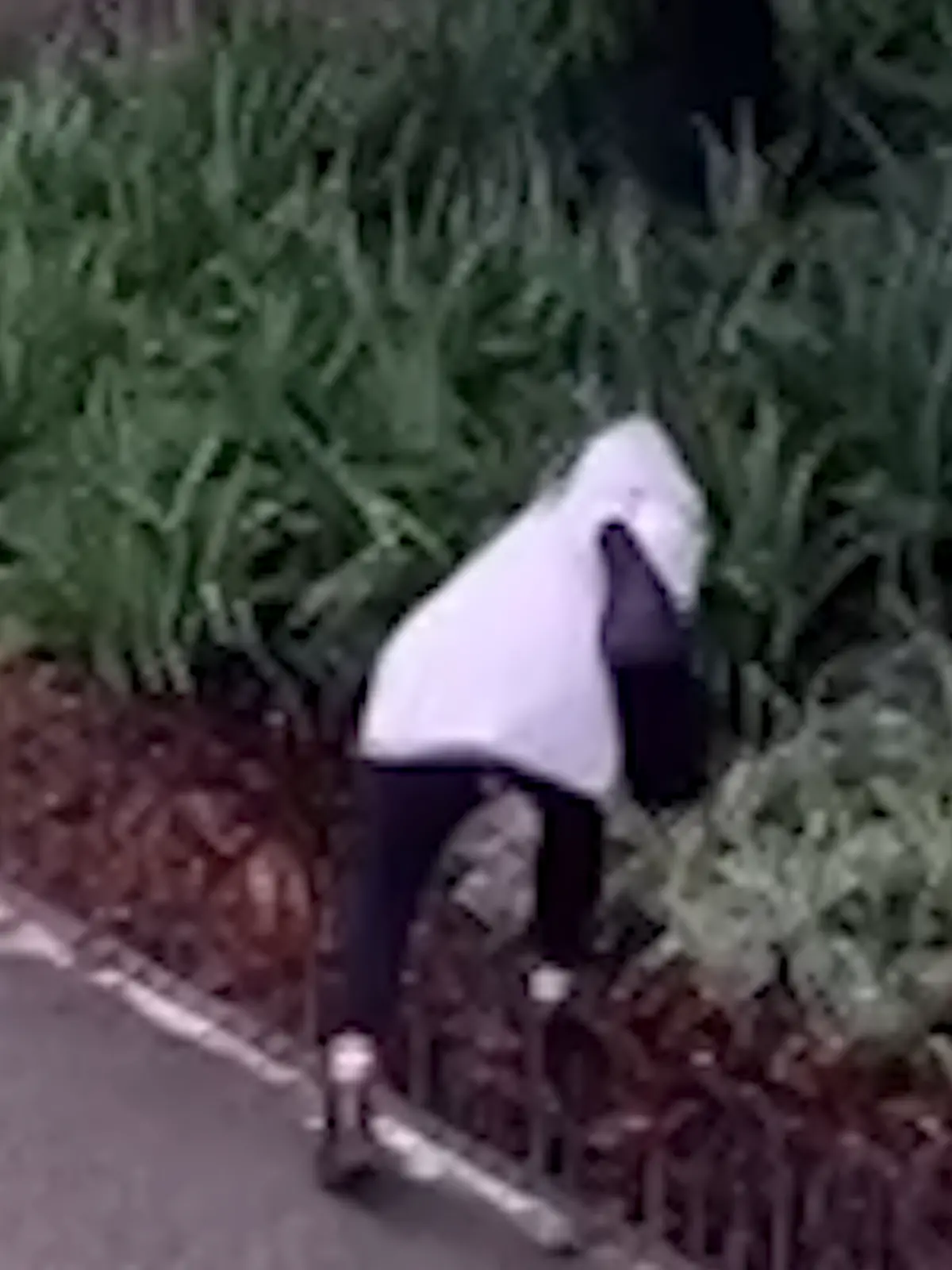 RTL.de: Nachrichten, die Deutschland bewegen.