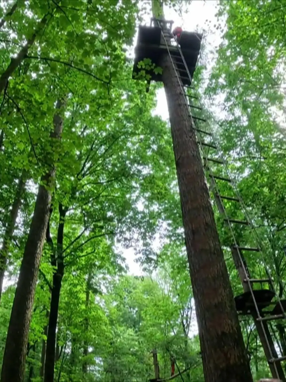 Durch Veränderungen im Leben: Pauline ist weiter als andere Kinder