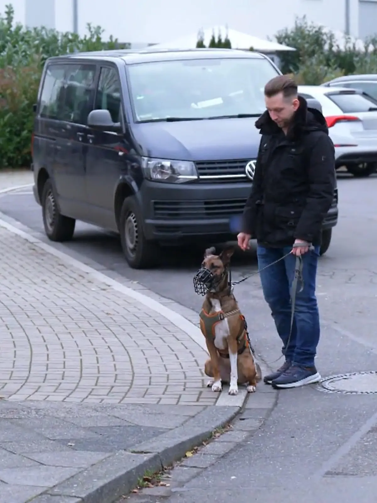 Sie ist nix für Anfänger: Die hyperaktive Sugar wird zur Chefsache