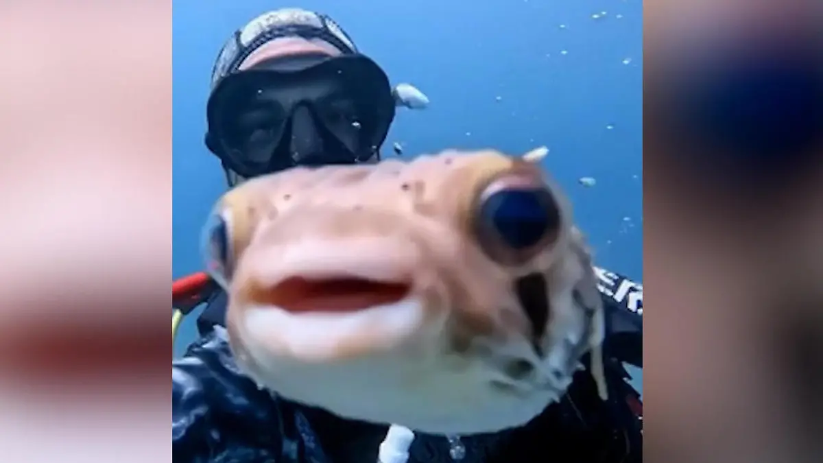 Familie sammelt Spenden für toten Elbschlosskeller-Türsteher Lars: „Du ...