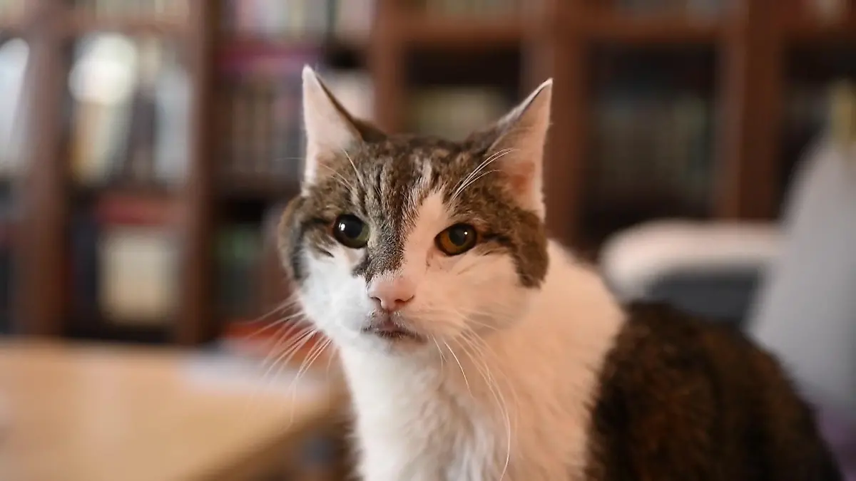 GNTM, Folge 15: Heidi Klum jagt ihre Models beim Nackt-Shooting durch den Monsun