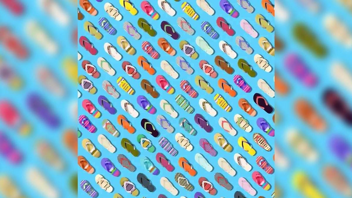 Flip-Flop oder Aubergine? Dieses Suchbild ist richtig schwierig!