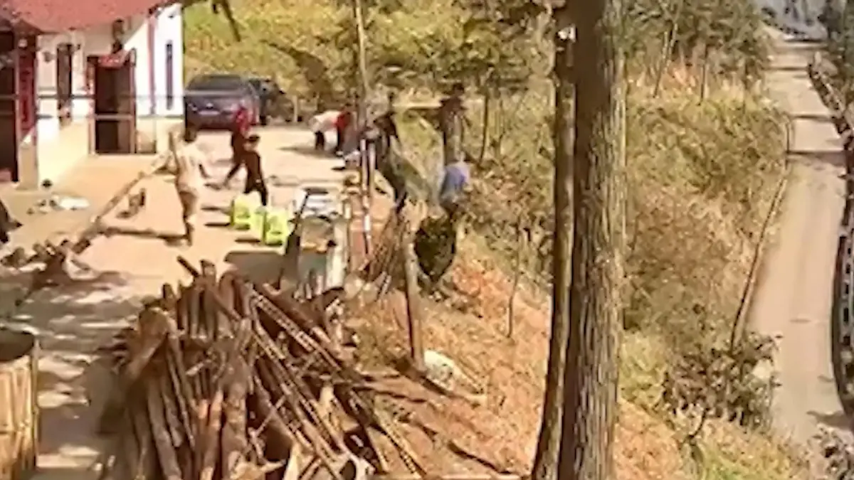 Video zeigt die Todesfahrt von Mannheim! Hier rast Alexander S. im Ford ...